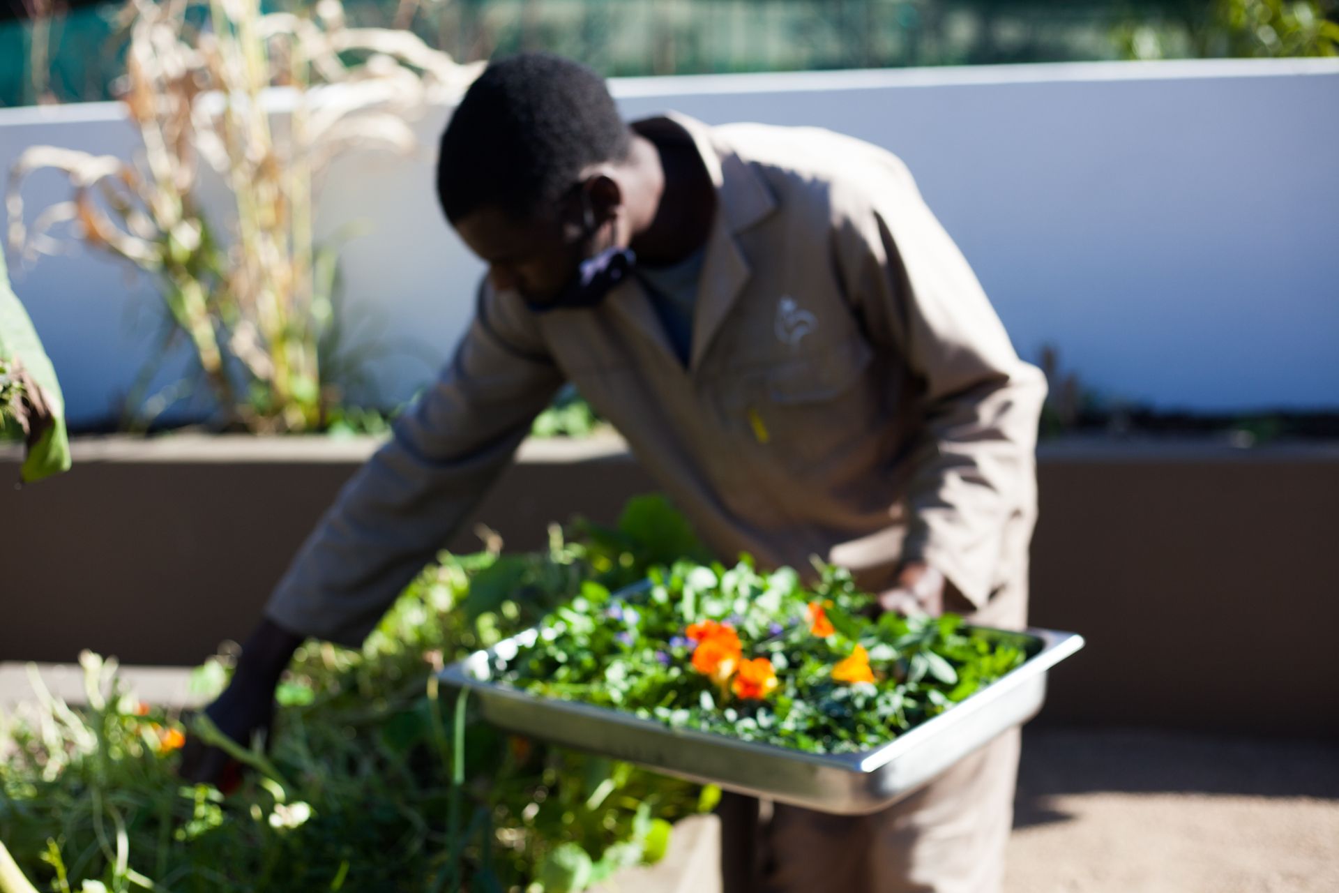 Gallery | Culinary Table Restaurant & Market